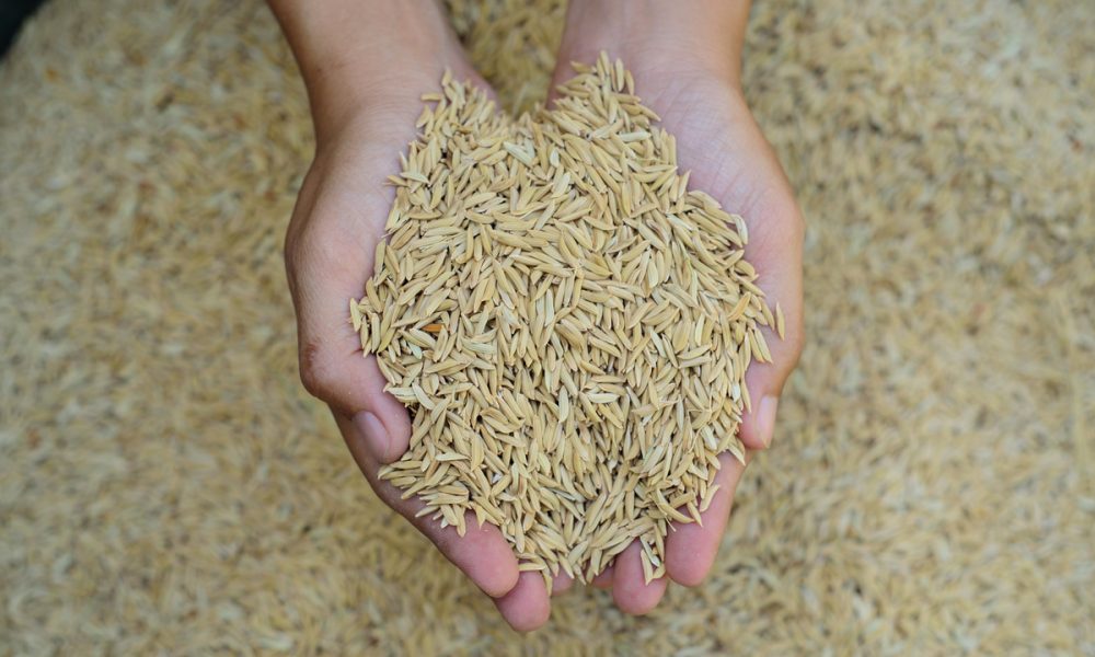 Food Security Kuwait’s Top Priority, Says Deputy Prime Minister - OERLive